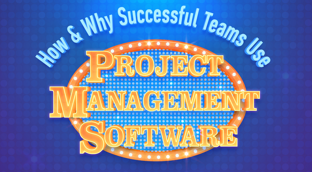 How Successful Teams Use Project Management Software (Infographic ...