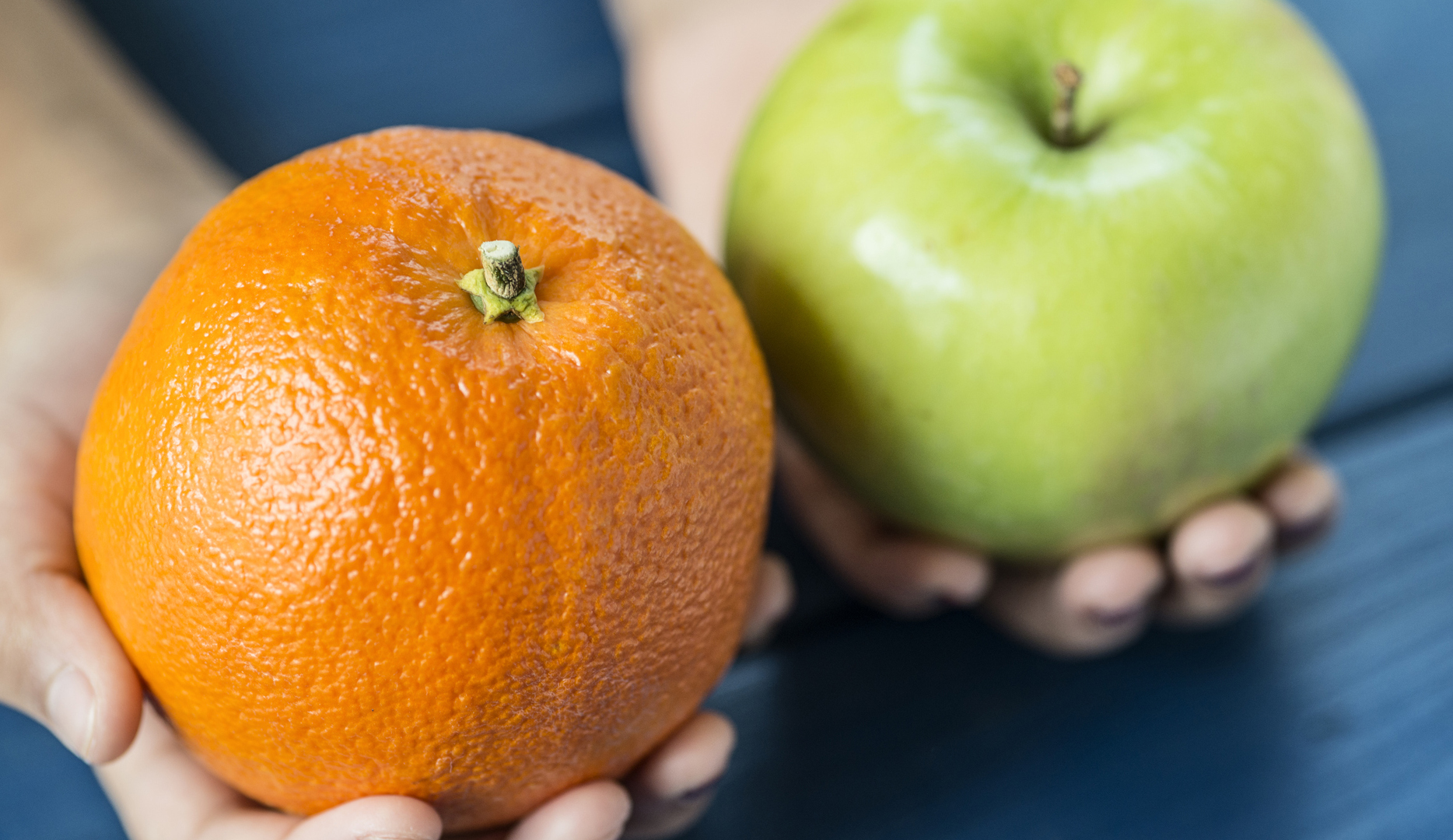 Shareholder vs Stakeholder: What Is the Difference? | Wrike