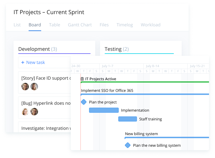 Program Management Software | Tools for Program Managers | Wrike